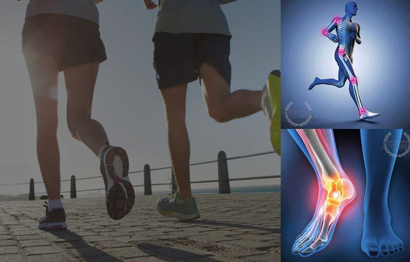 Athena - articoli sportivi a Torino: calze, tutori, protezioni in carbonio